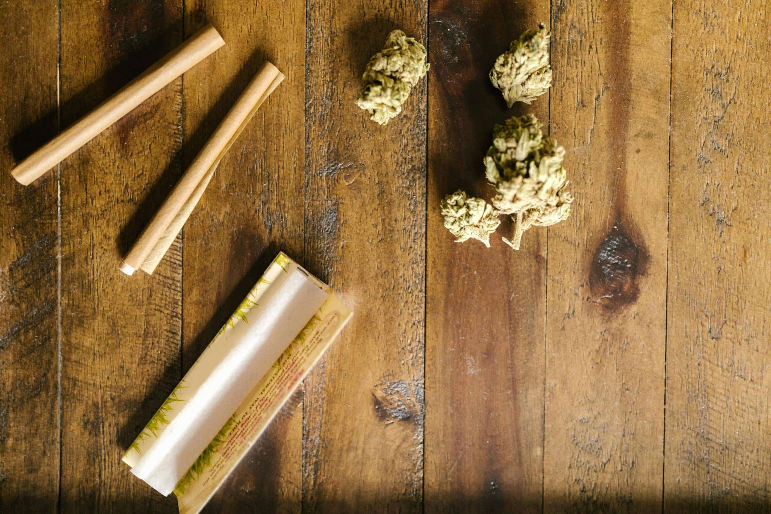 Everything You Need To Know About Raw Rolling Papers: Features